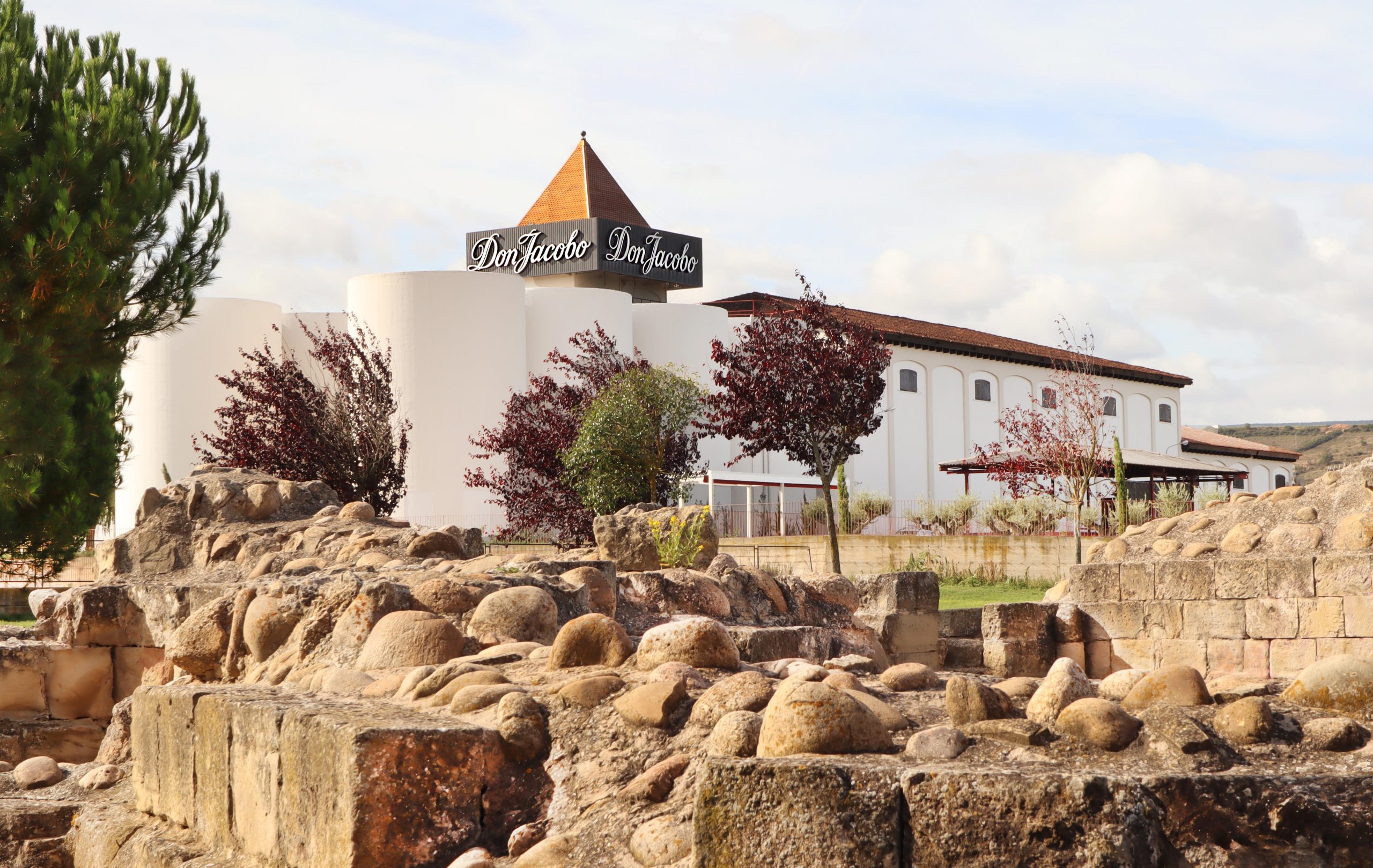 Bodegas Corral - ToDoWine