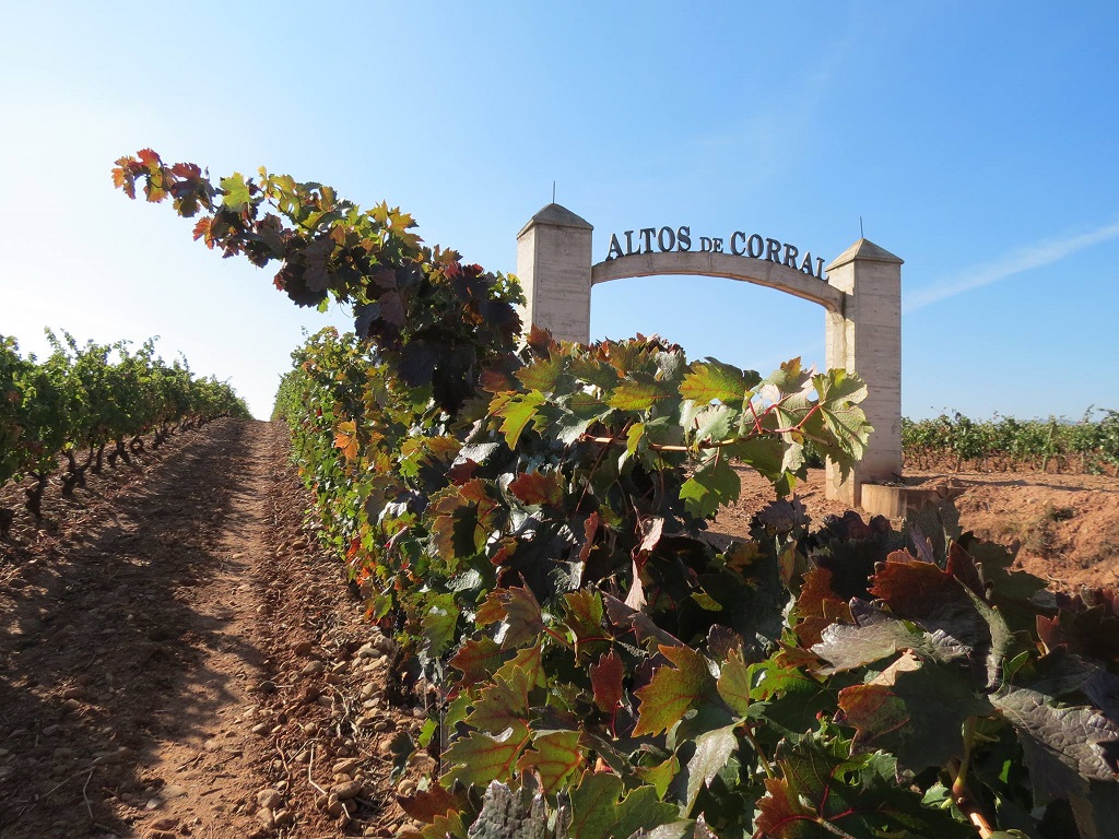 Bodegas Corral en La Rioja | Vinos D.O. Ca. Rioja
