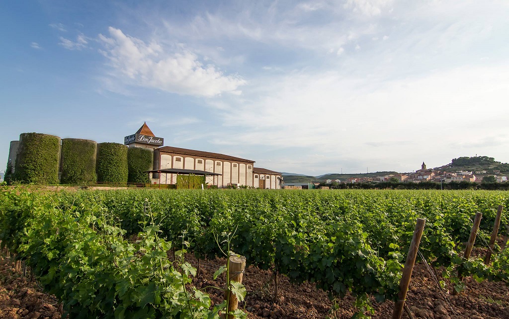 Bodegas Corral en La Rioja | Vinos D.O. Ca. Rioja