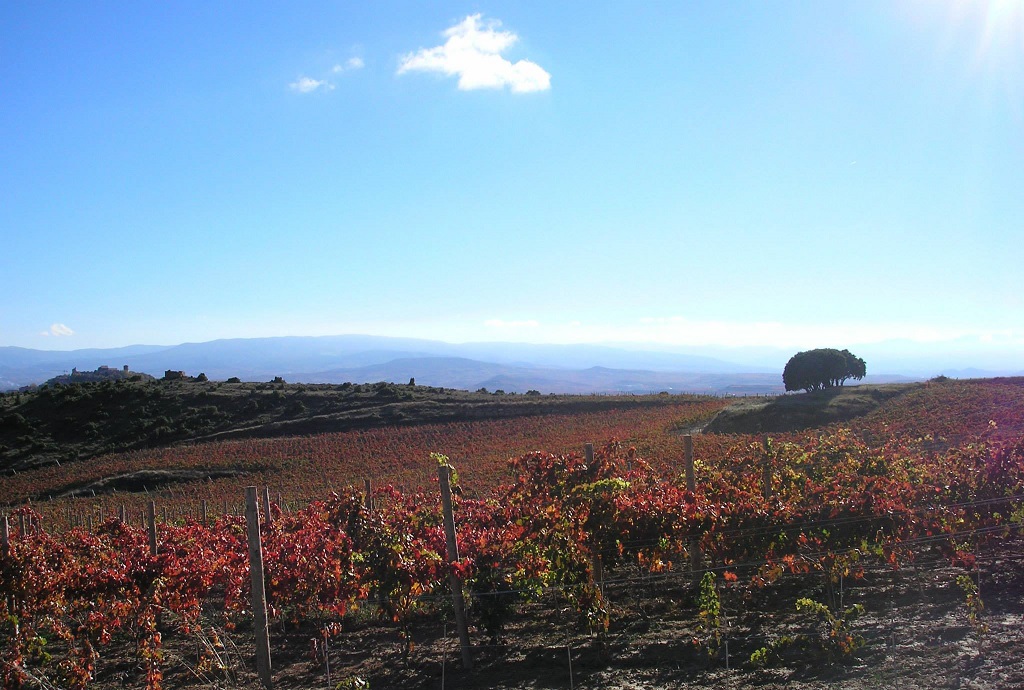 Bodegas Solar Viejo en Álava | Vinos D.O. Ca. Rioja