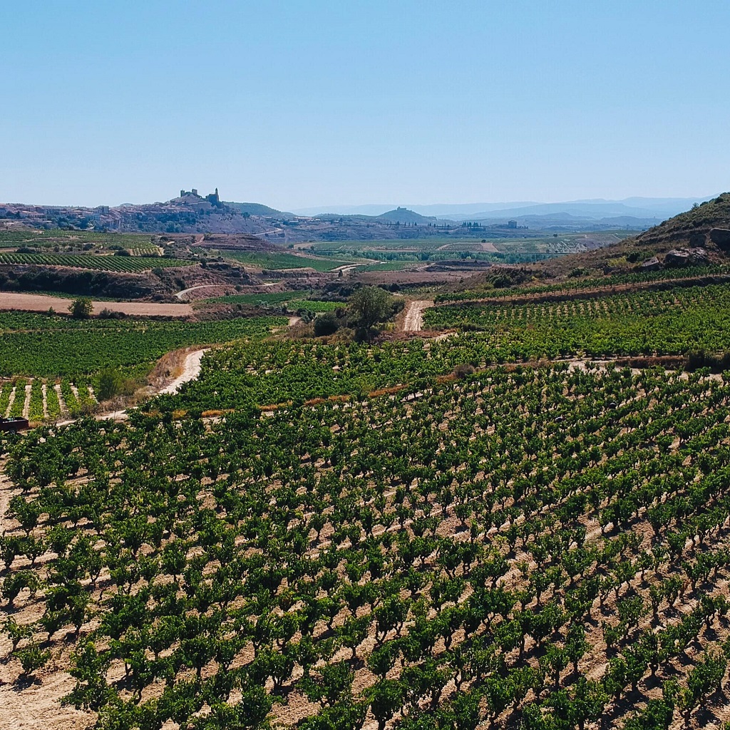 Bodega Contador en La Rioja | Vinos D.O. Ca. Rioja