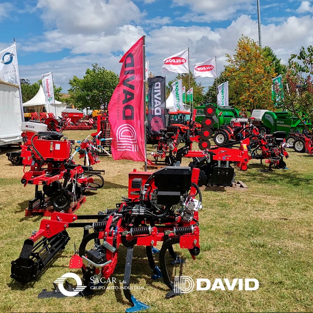 ID David | ToDoWine