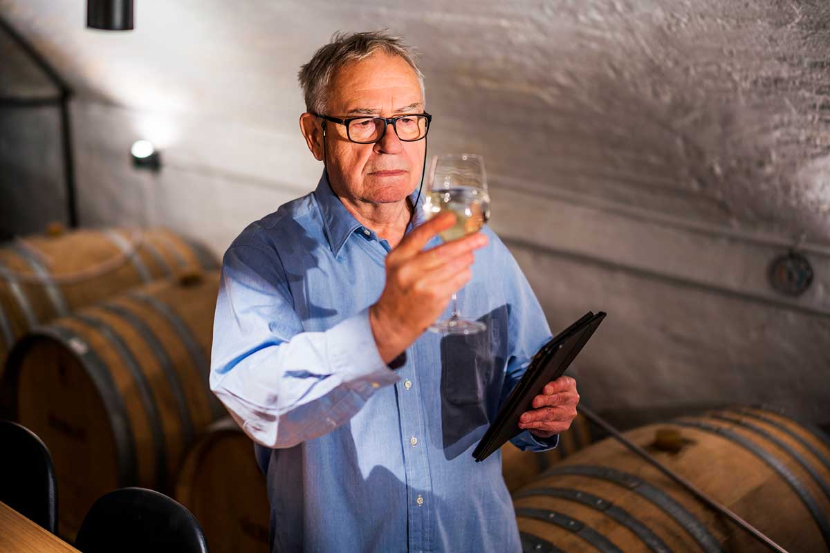 Crianza del vino, ¿mejor en barrica o depósito? | ToDoWine